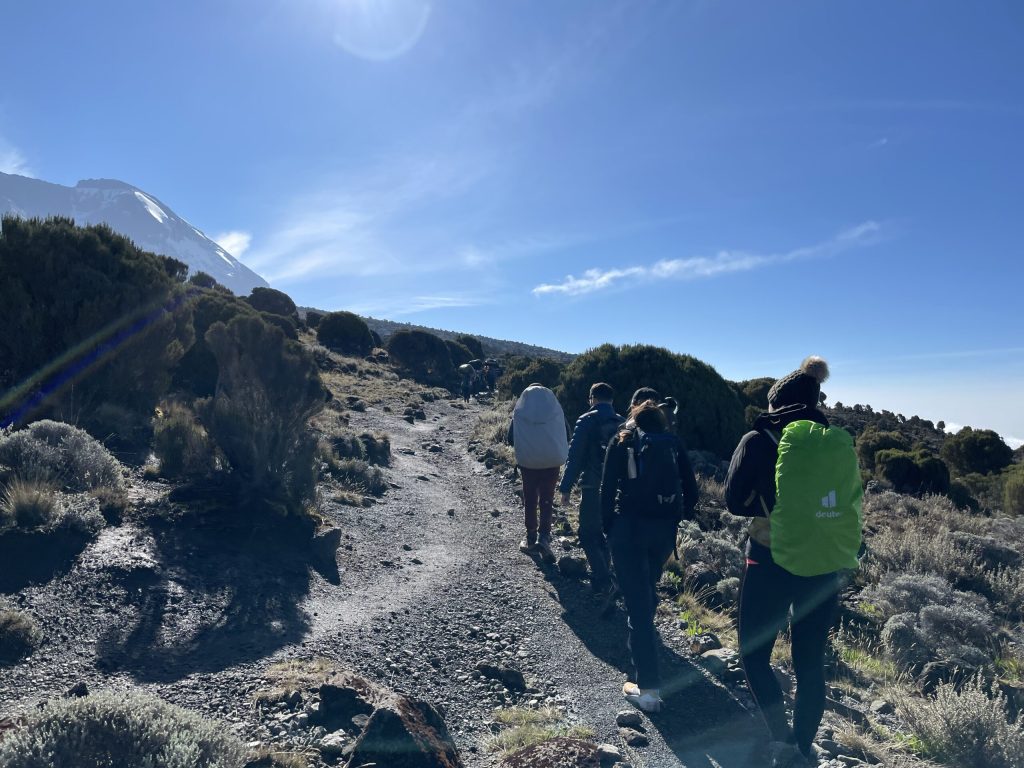 7 Days Machame (‘’Whiskey’’) Route - Shoki Shoki Safaris & Travel